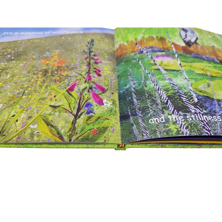 Hardcover Children Story Book Printing - YBJ BOOK PRINTING